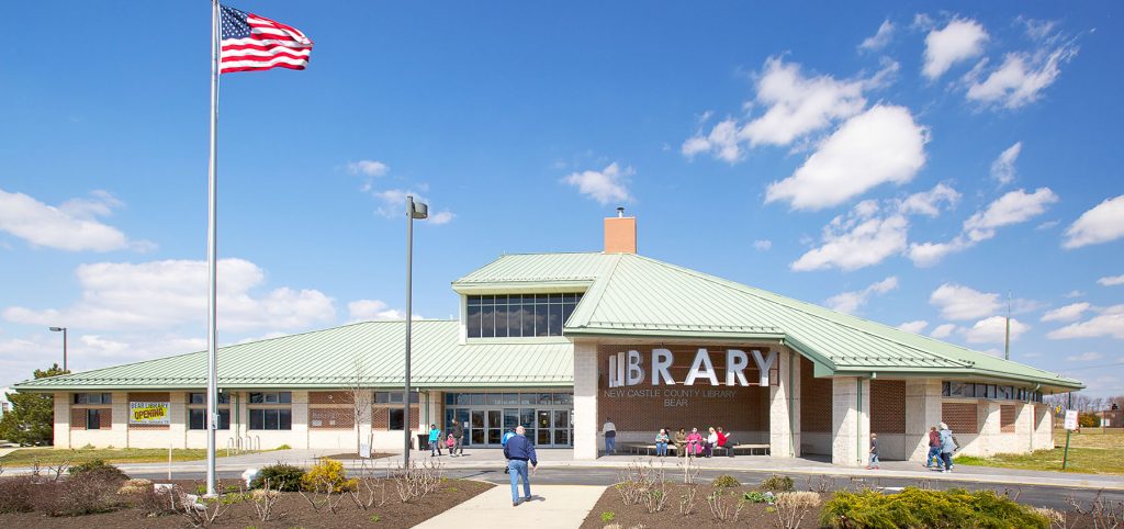 Bear Library | Kohler Ronan